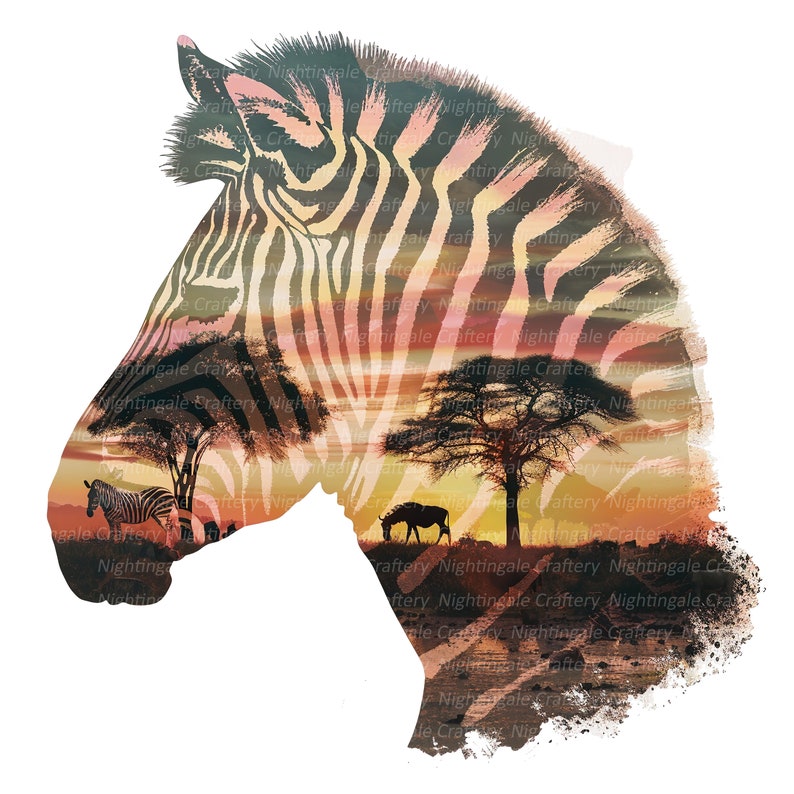 Zebra Photo, Savannah Animal 8 PNG/JPG Wall Art (digital Download) - Etsy