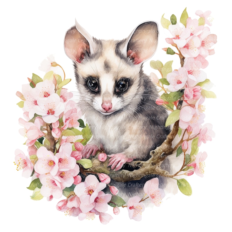 Sugar Glider Clipart Printable Watercolor Clipart 10 High - Etsy