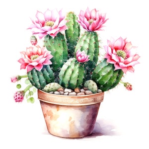 12 Cactus in Pot Clipart, Blooming Cactus, Printable Watercolor Clipart ...