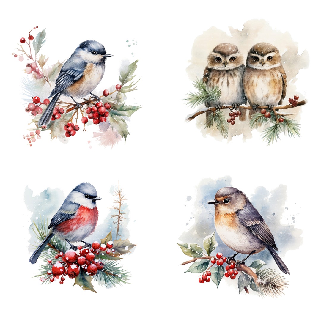 20 Various Christmas Birds Clipart, Robin, Printable Watercolor Clipart ...