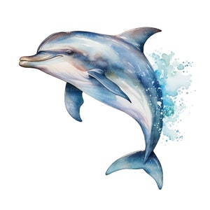 12 Dolphin Clipart, Dolphin Playing Clipart, Printable Watercolor ...