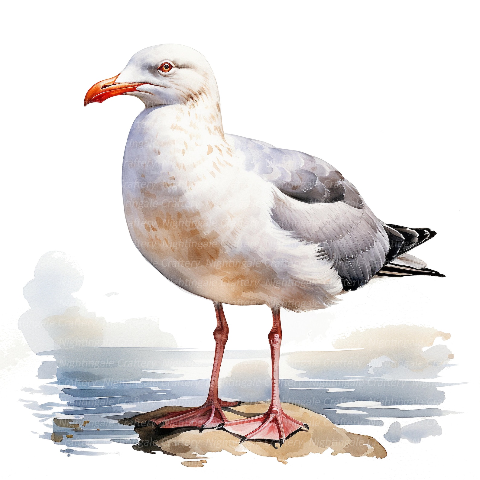 10 Seagull Clipart, Gull Clipart, Printable Watercolor Clipart, High ...
