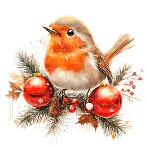 9 Christmas Robin Clipart Set 4, Christmas Card, Printable Watercolor ...