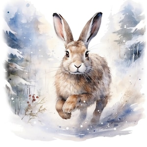 12 Hare in Winter Clipart, Printable Watercolor Clipart, High Quality ...