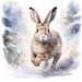 12 Hare in Winter Clipart, Printable Watercolor Clipart, High Quality ...