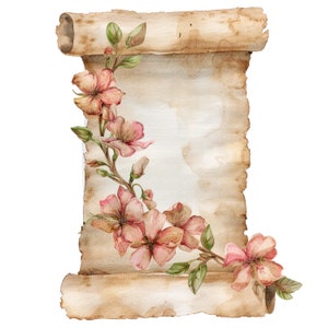 12 Vintage Paper Scroll Clipart, Floral Parchment, High Quality JPG ...