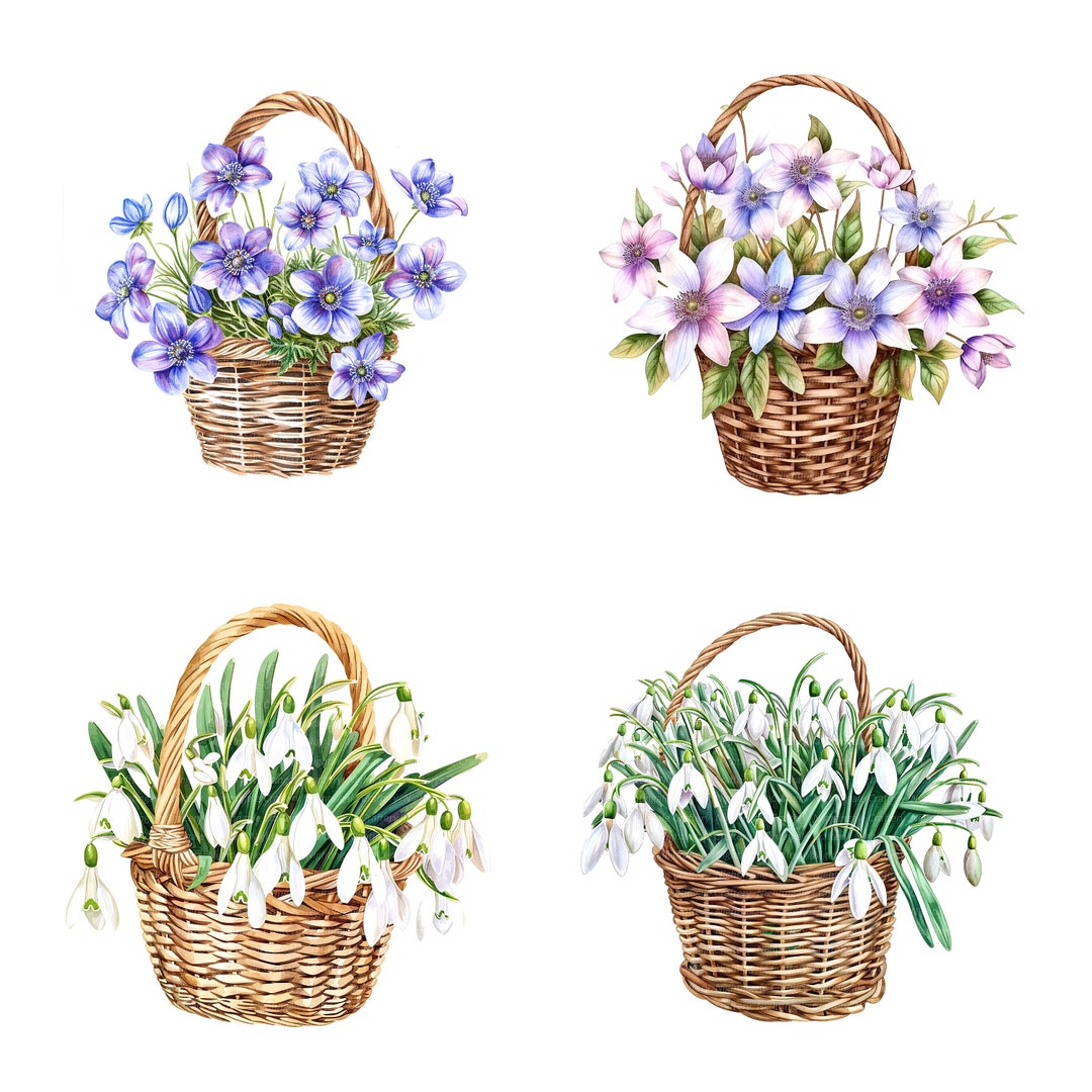 16 Spring Flowers Basket Clipart, Floral Basket, Printable Watercolor ...