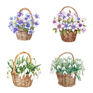 16 Spring Flowers Basket Clipart, Floral Basket, Printable Watercolor ...