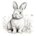 12 Bunny Black White Clipart, Line Art Clipart, Printable Watercolor ...