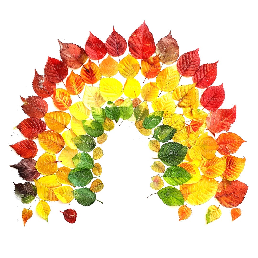 11 Autumn Leaves Clipart, Rainbow Clipart, Printable Watercolor Clipart ...