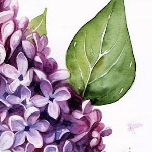 Purple Lilac Printable, Purple Lilac Digital Print, Lilac Watercolor ...