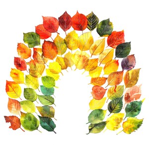 11 Autumn Leaves Clipart, Rainbow Clipart, Printable Watercolor Clipart ...