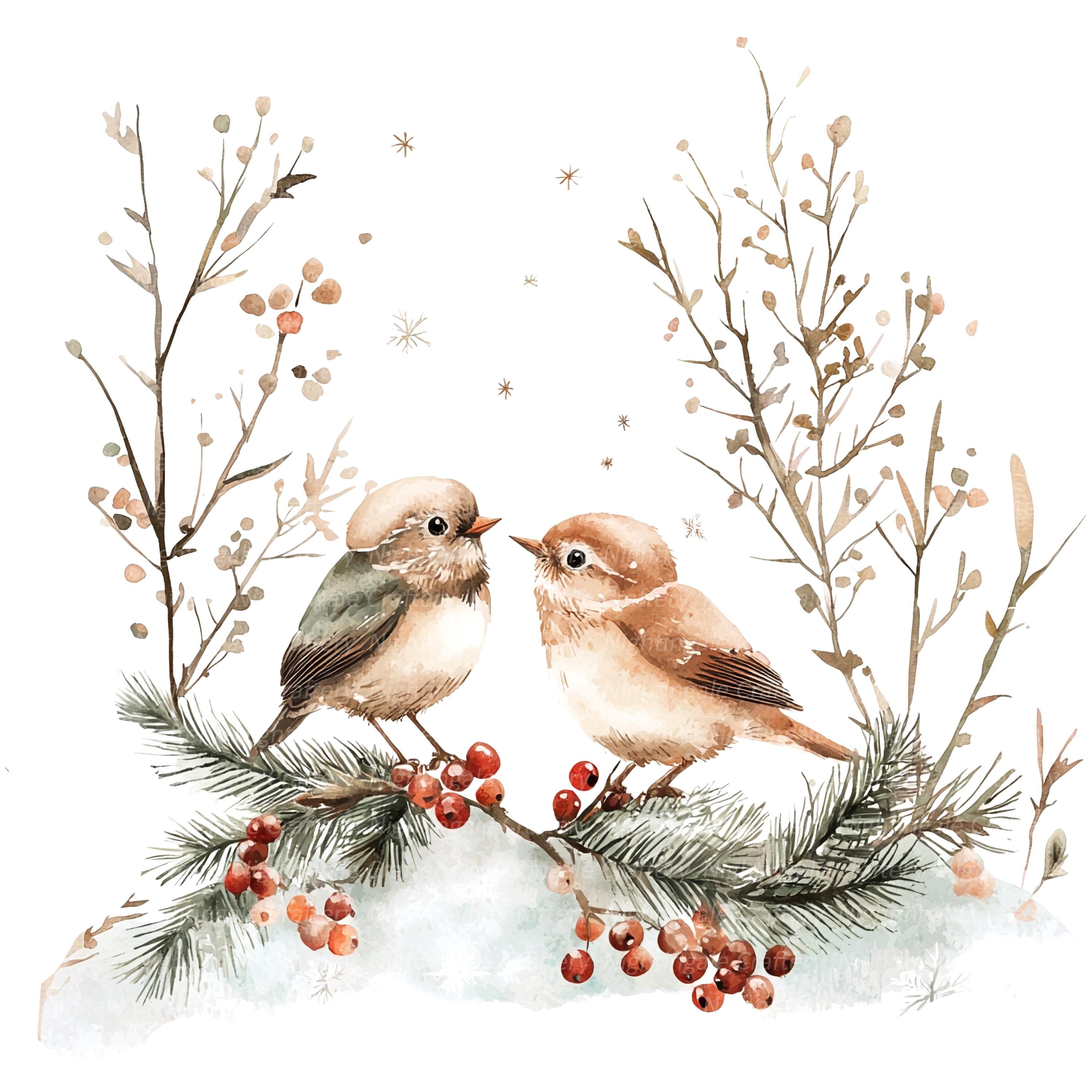 10 Christmas Birds Clipart, Red Cardinal, Robin, Printable Watercolor ...