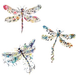 14 Dragonfly Music Notes Clipart, Wall Print, Printable Watercolor ...