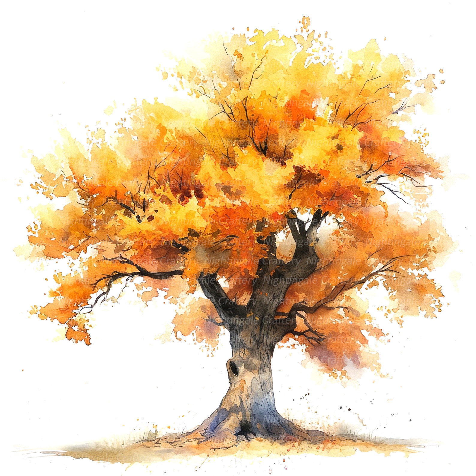 12 Oak Tree Clipart, Oak Clipart, Autumn Oak, Printable Watercolor ...