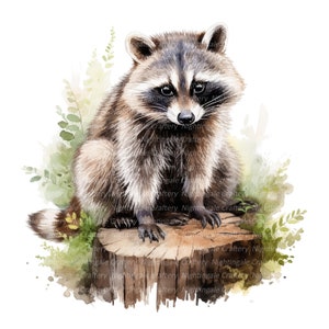 Raccoon in Forest Clipart, Printable Watercolor Clipart, 10 High ...