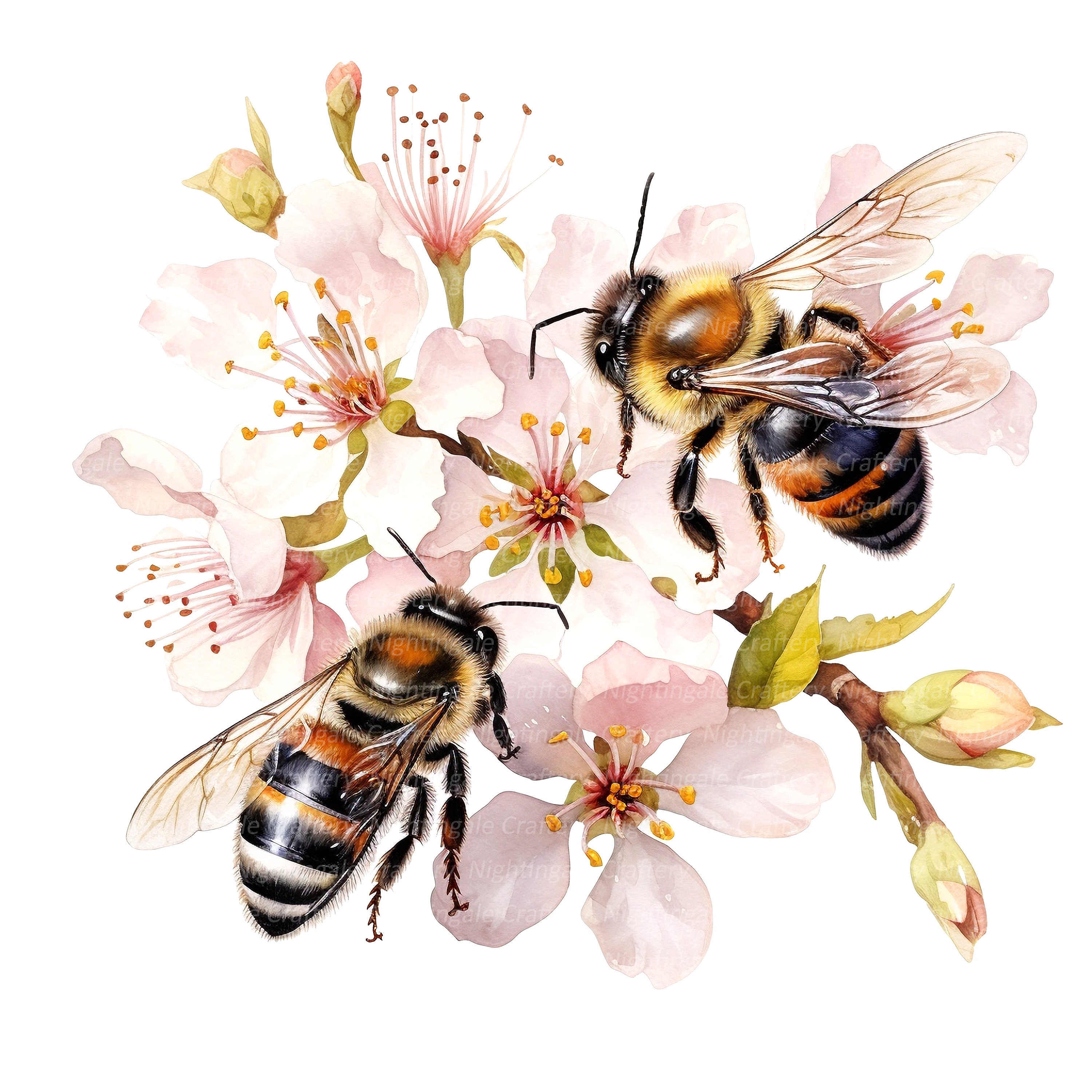 12 Bees Clipart, Honey Clipart, Beehive, Printable Watercolor Clipart ...