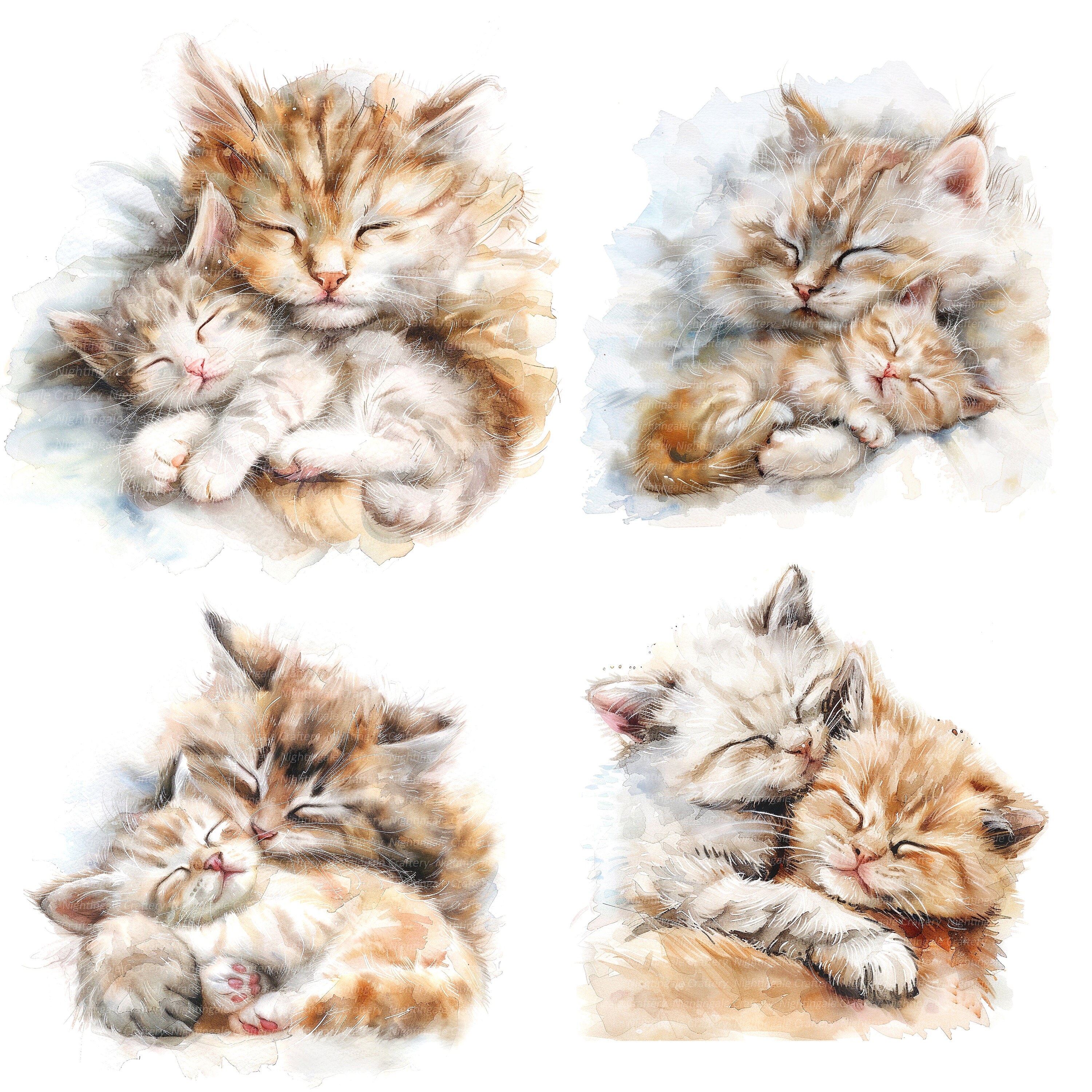 Kat Slapende Clipart