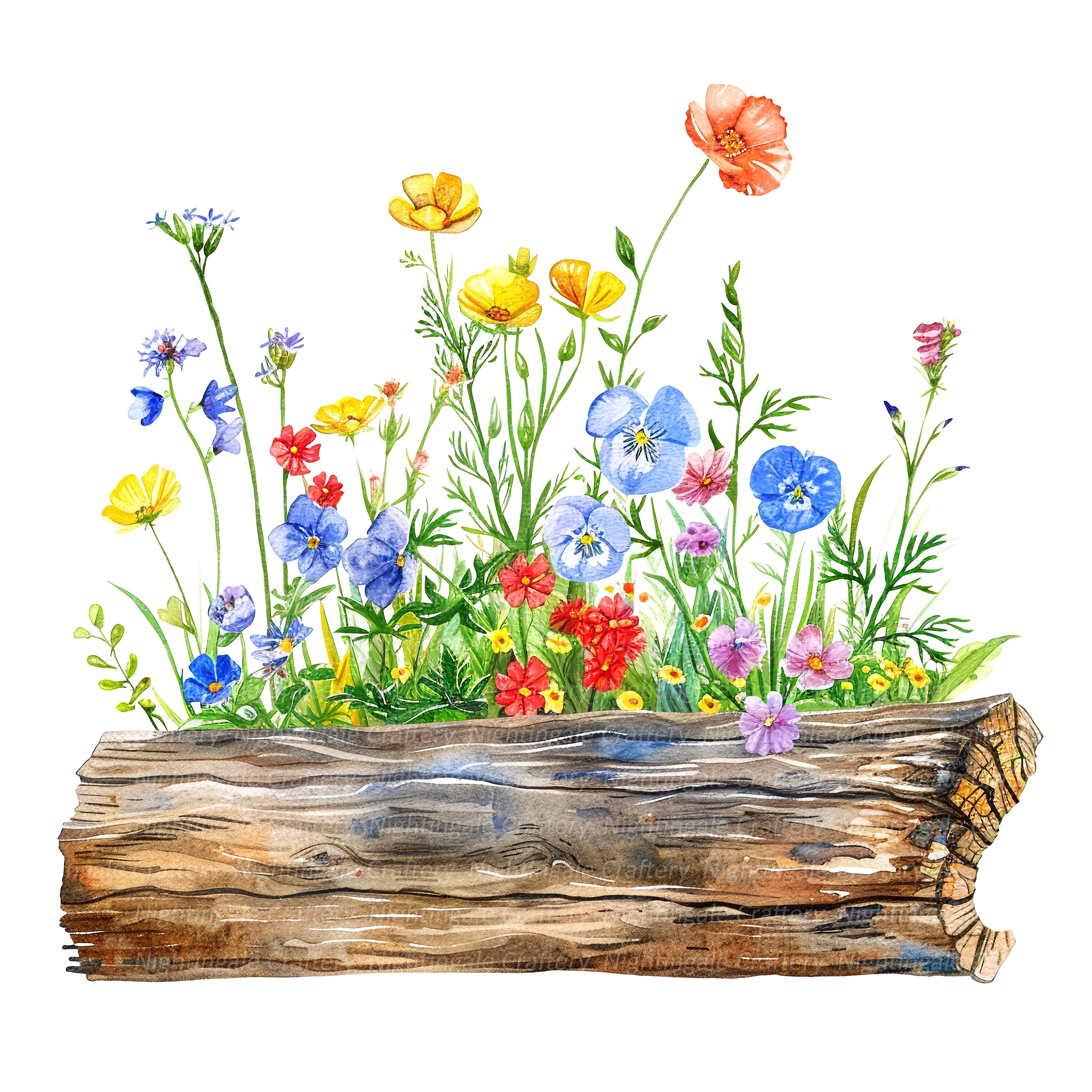 12 Wildblumen auf Log Clipart Set 2, Wildblumen, druckbare Aquarell ...