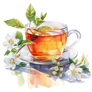 12 Jasmine Tea Clipart, Tea Cup Clipart, Printable Watercolor Clipart ...
