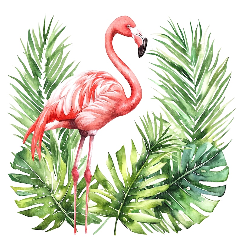 Flamingo Clip Art - Etsy