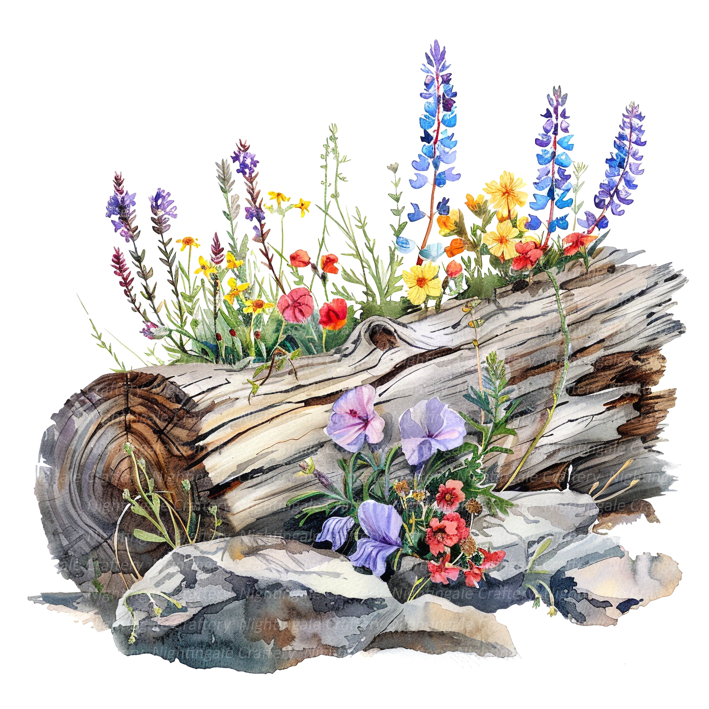 12 Wildblumen auf Log Clipart Set 2, Wildblumen, druckbare Aquarell ...