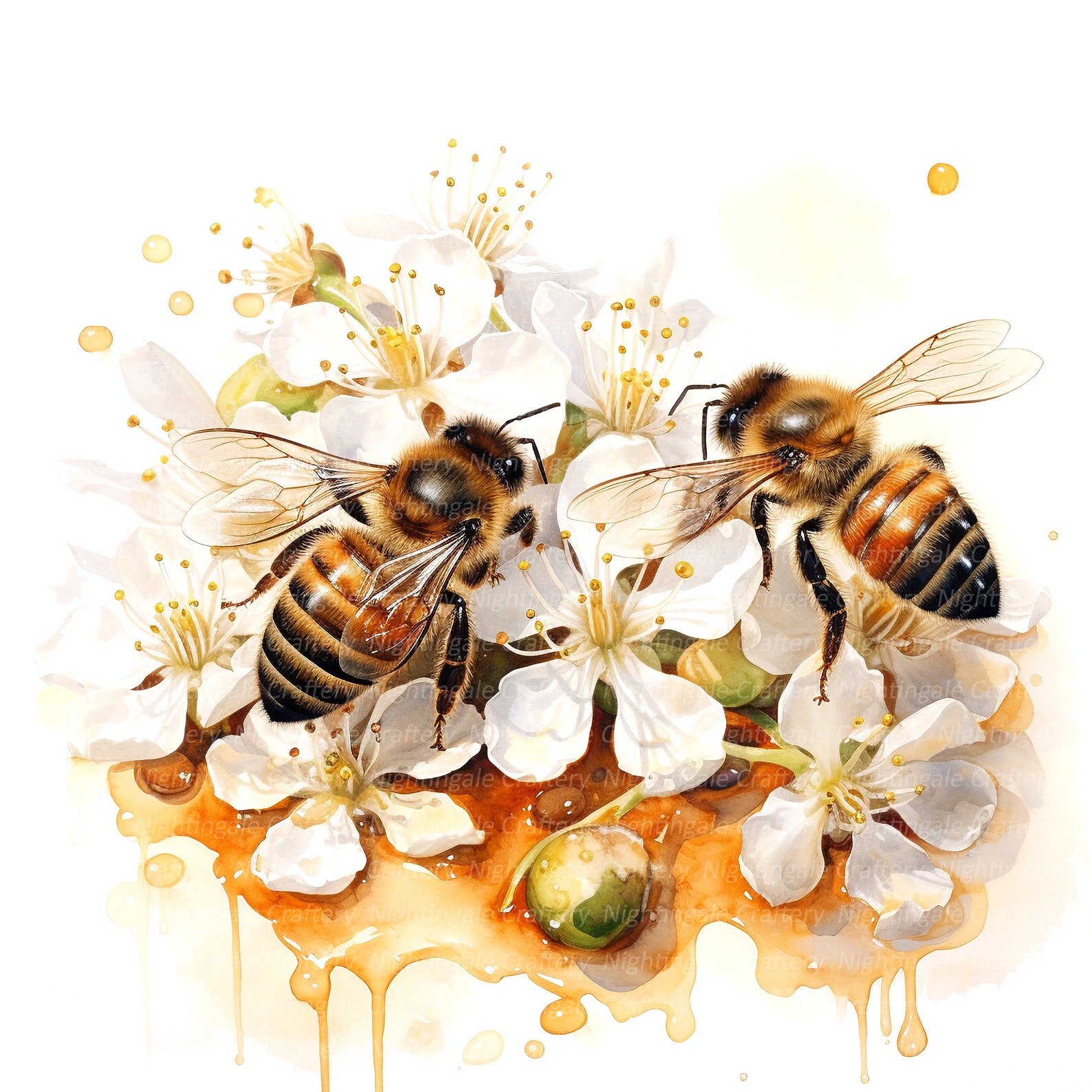 12 Bees Clipart, Honey Clipart, Beehive, Printable Watercolor Clipart ...