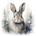 12 Hare in Winter Clipart, Printable Watercolor Clipart, High Quality ...