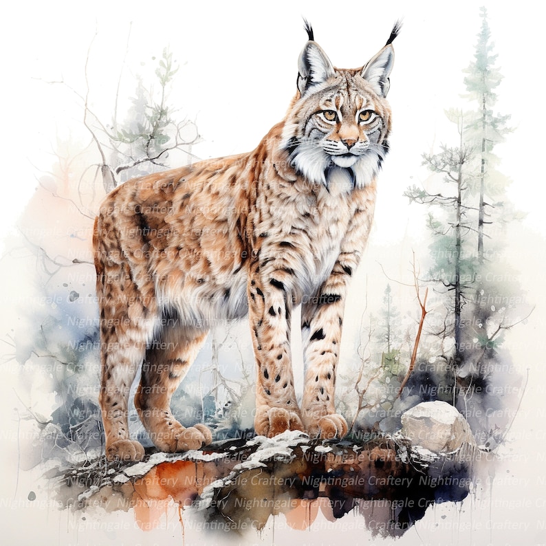 Luchs im Wald Clipart, druckbare Aquarell Clipart, 10 hochwertige PNGs ...