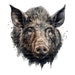 Wild Boar Close up Clipart, Printable Watercolor Clipart, 8 High ...