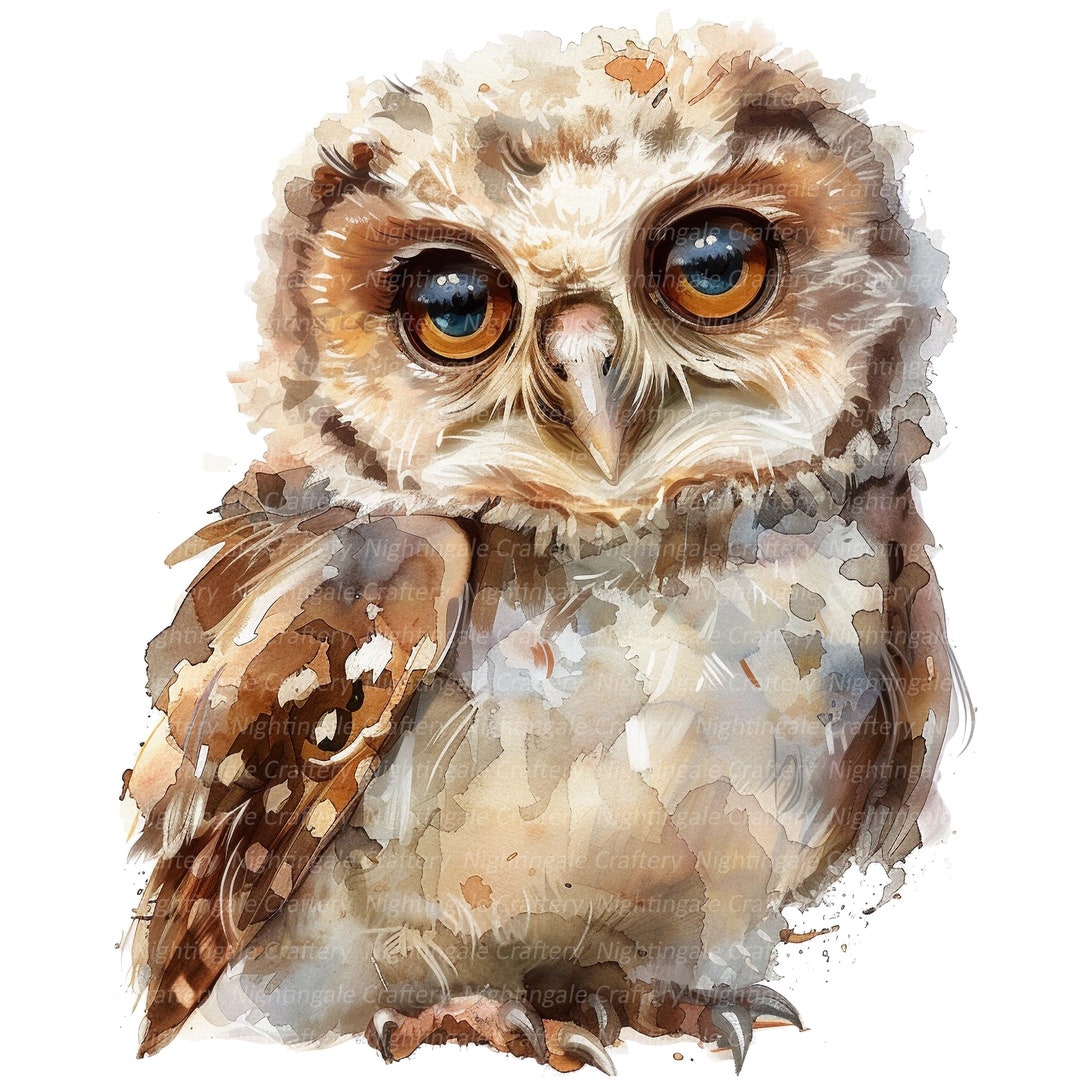 10 Cute Baby Owl Clipart, Fluffy Owl Clipart, Digital Clipart ...