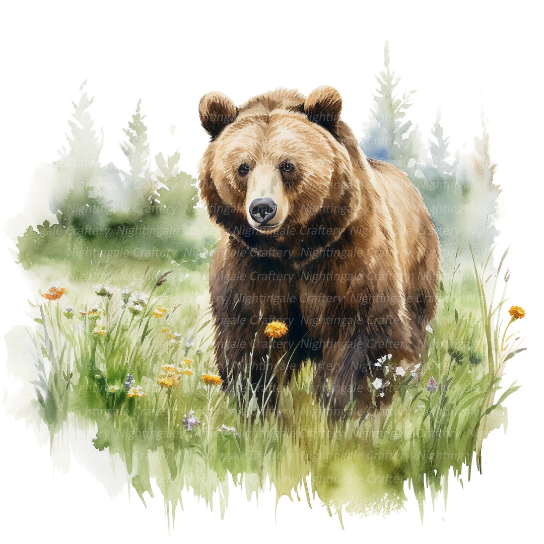 Bear in Forest Clipart Printable Watercolor Clipart 10 High - Etsy