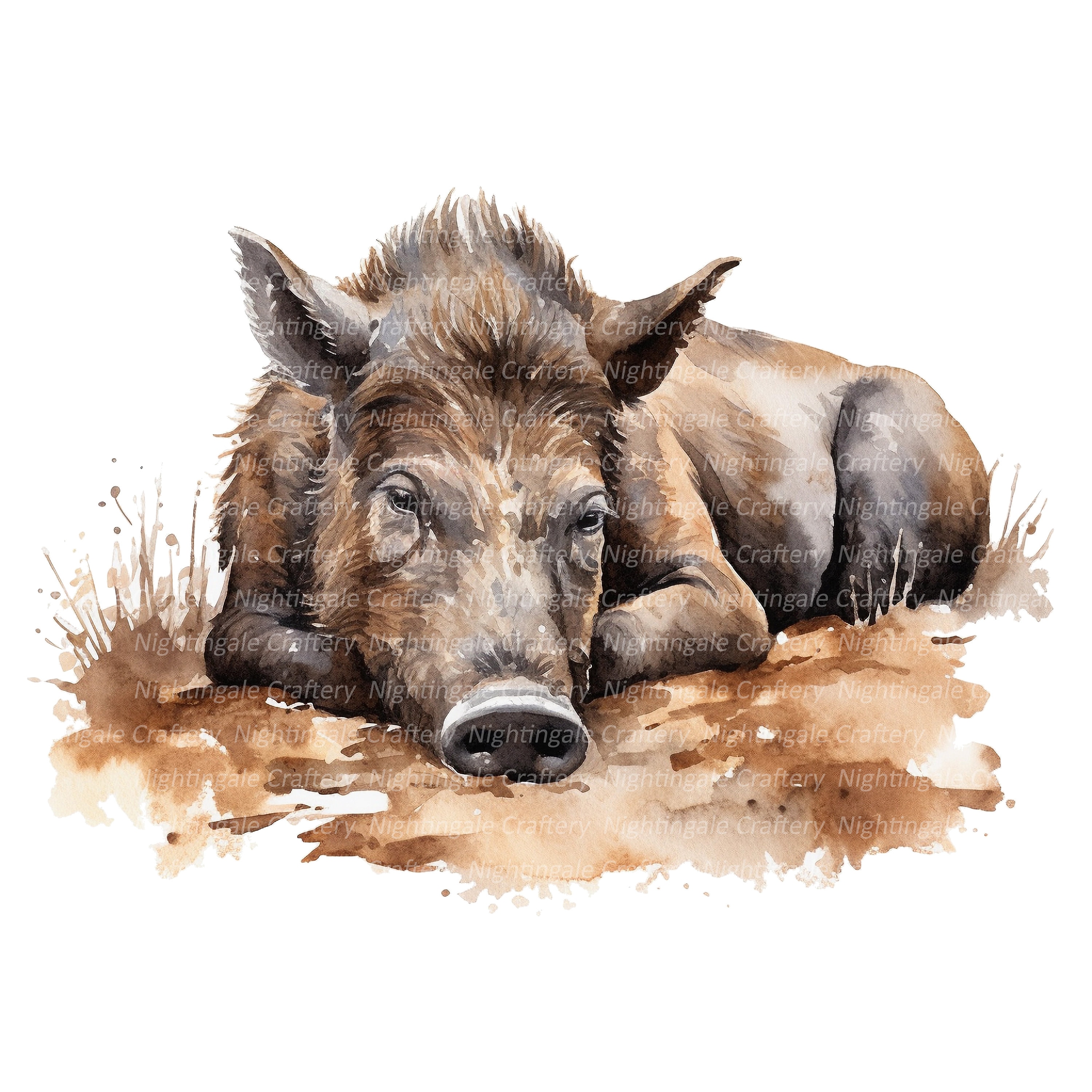 Wild Boar in Forest Clipart Printable Watercolor Clipart 10 - Etsy