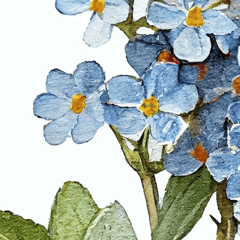 Blue Forget Me Not Printable Forget-me-not Digital Print - Etsy