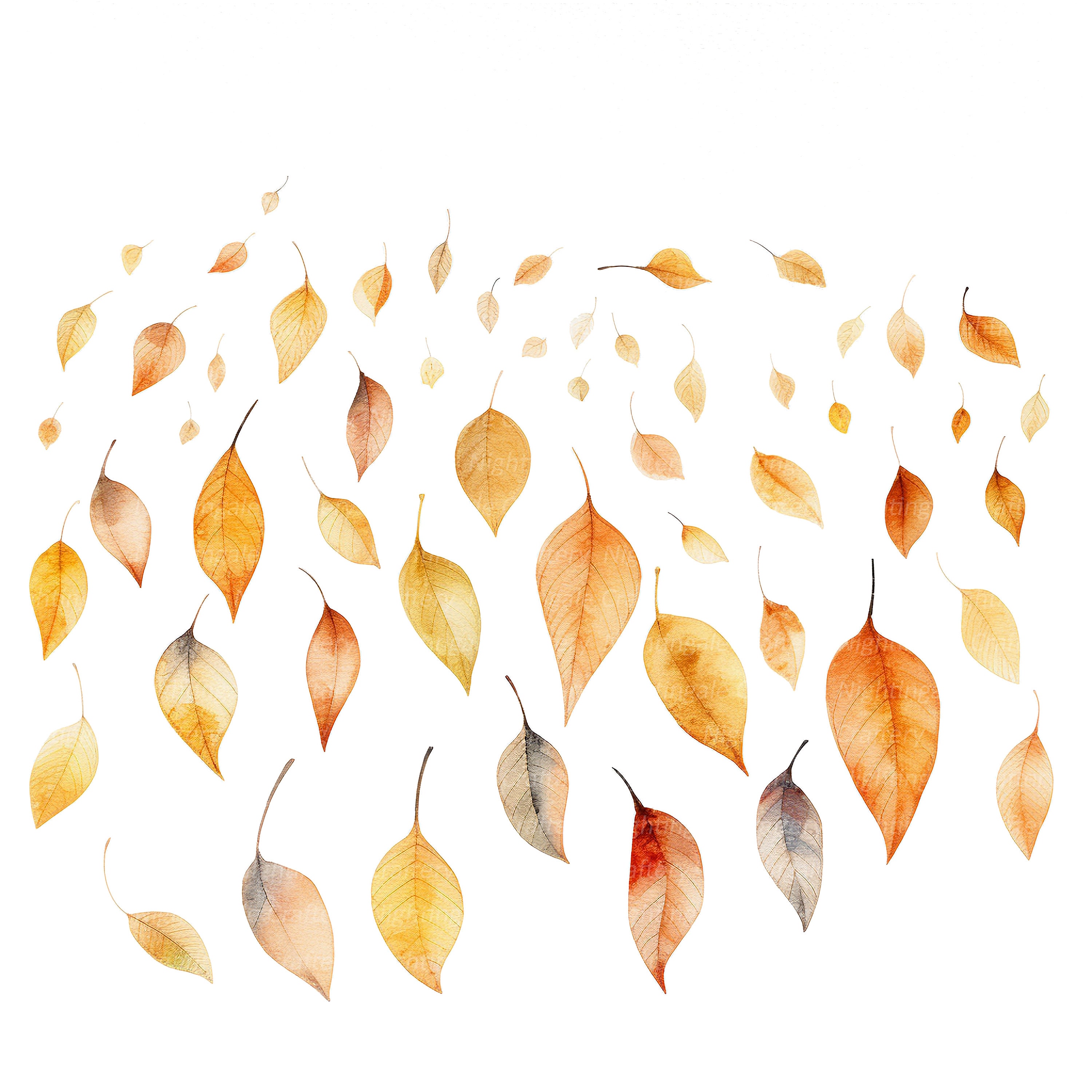 12 Falling Autumn Leaves Clipart, Fall Leaves, Printable Watercolor ...