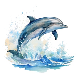 12 Dolphin Clipart, Dolphin Playing Clipart, Printable Watercolor ...