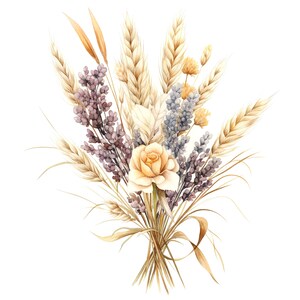 14 PNG Pampa Grass Flowers Bouquet Clipart, Dried Flowers Clipart ...