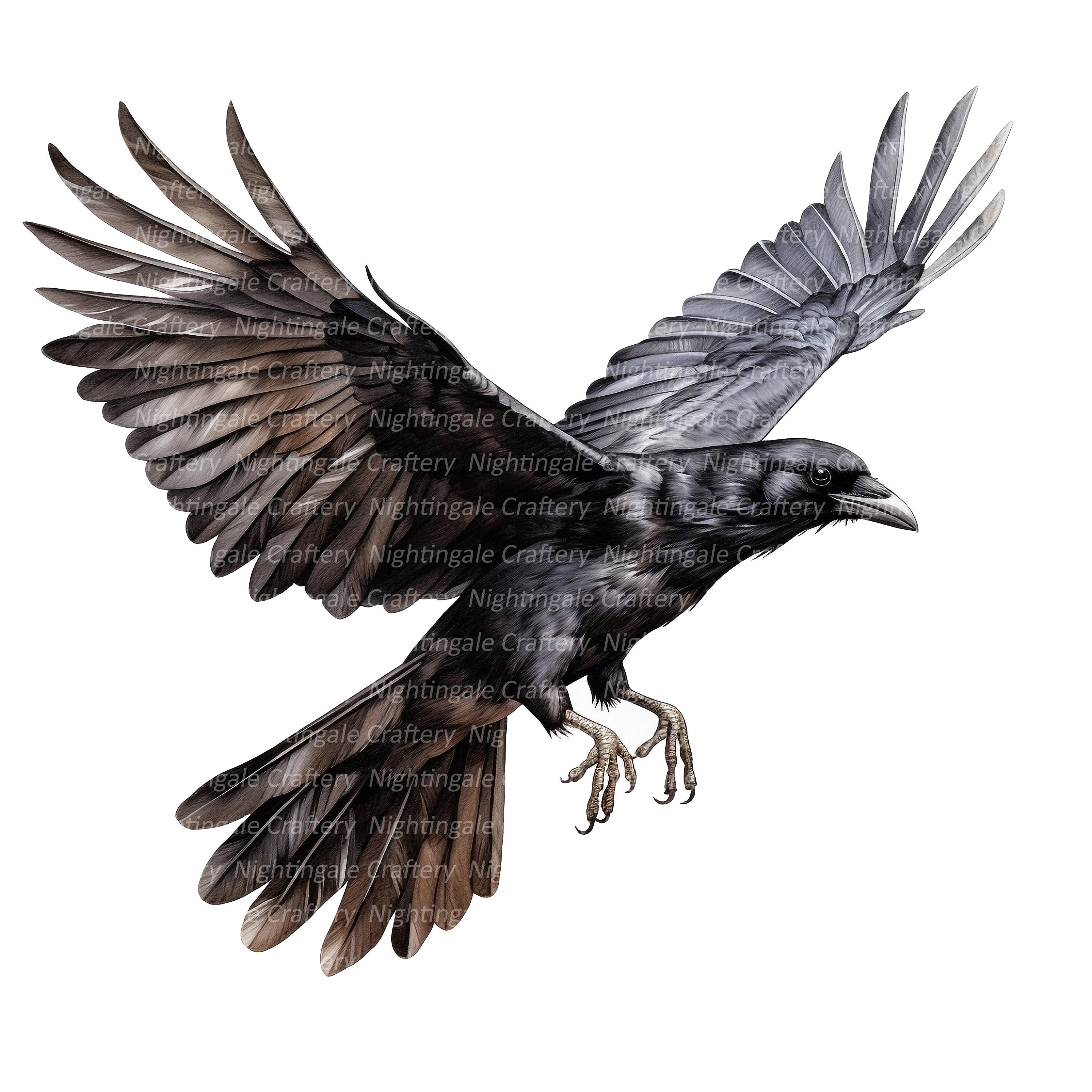 Common Raven Crow Clipart, Printable Watercolor Clipart, 12 High ...
