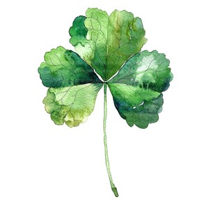 11 Shamrock Clipart, Clover Clipart, Printable Watercolor Clipart, High ...