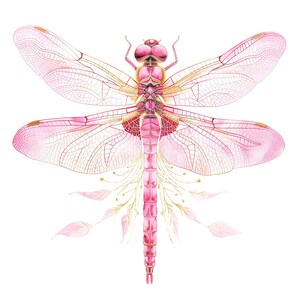 8 Pink Dragonfly Clipart, Printable Watercolor Clipart, High Quality ...