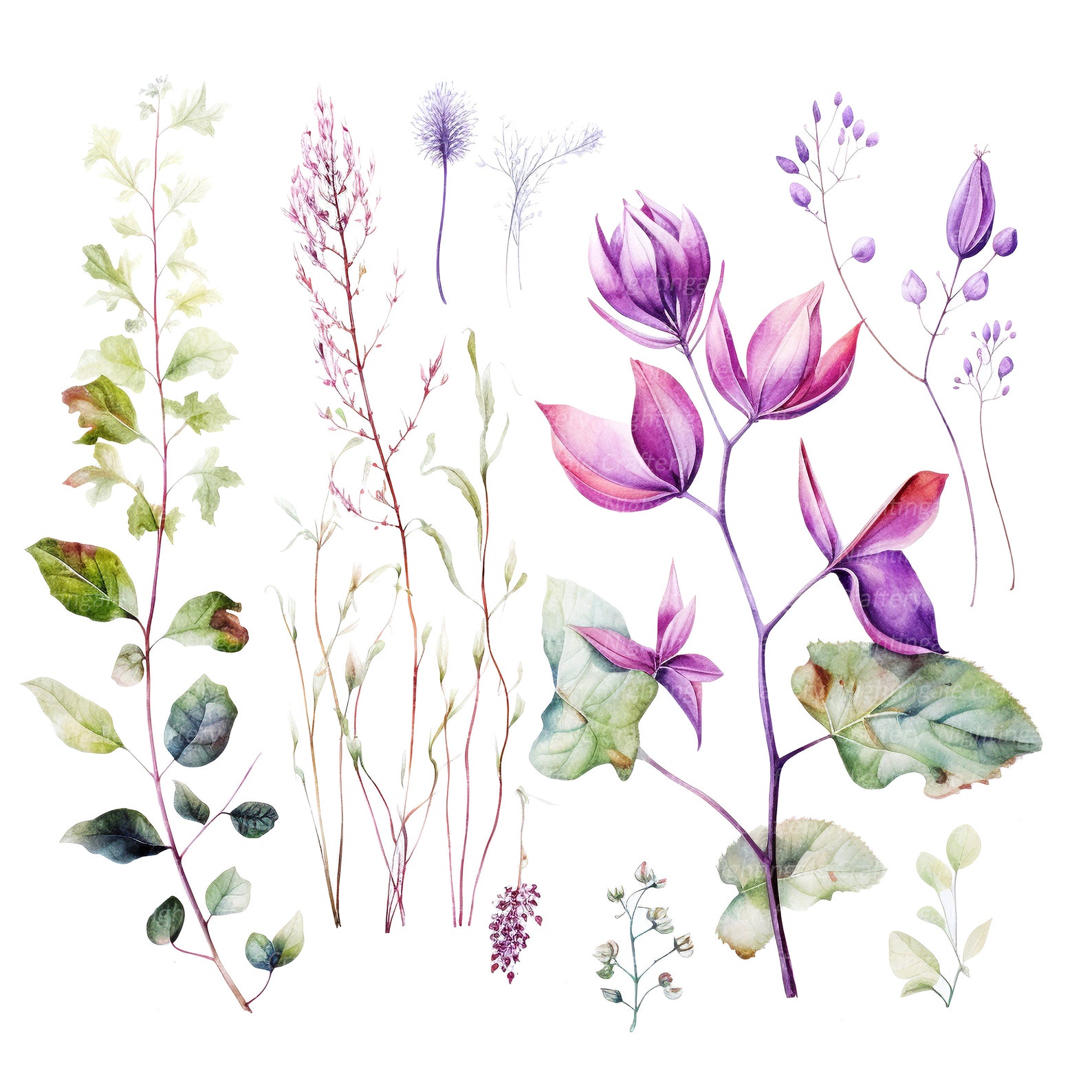 12 Botanical Plant Clipart, Wildflower Plants, Printable Watercolor ...