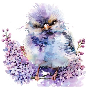 10 Whimsical Birds Clipart, Lilac Clipart, Digital Clipart, Watercolor ...