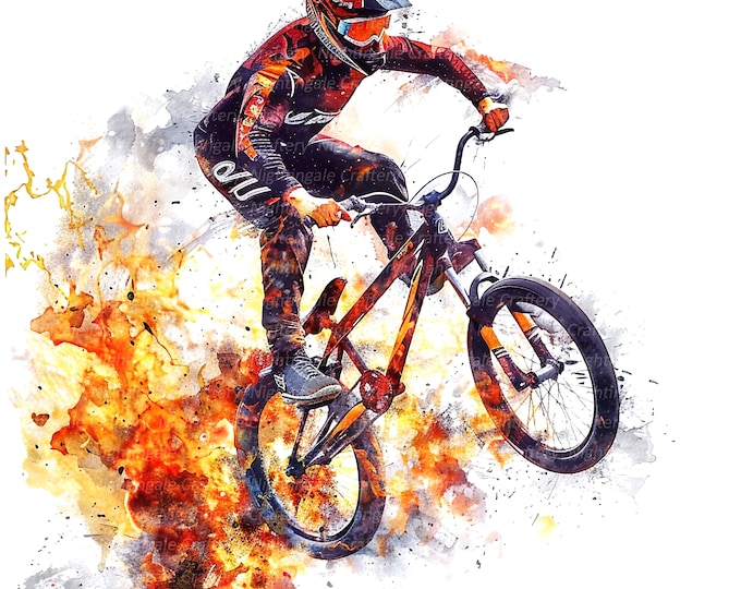 BMX Print, BMX Prints, BMX Wall Art, Bmx Gift Prints , Gift for Bmx ...
