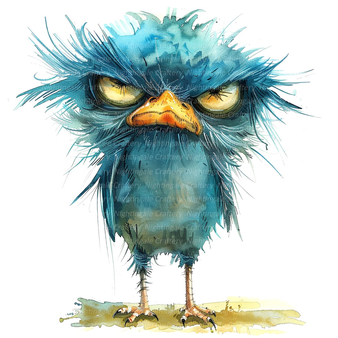 14 Grumpy Birds Clipart Set 2, Cute Fluffy Birds, Digital Clipart ...