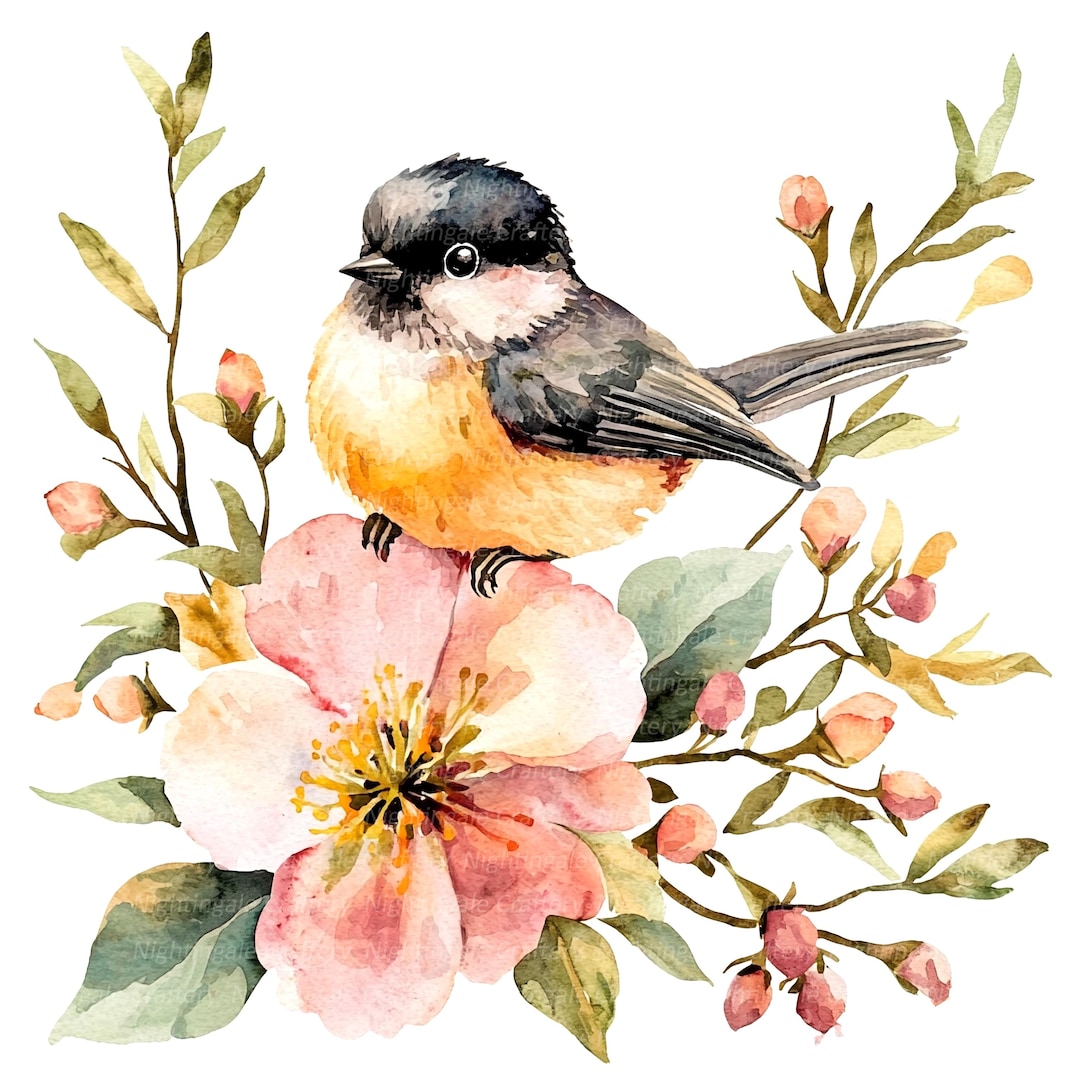 12 Floral Bird Clipart, Bird and Blossom, Printable Watercolor Clipart ...