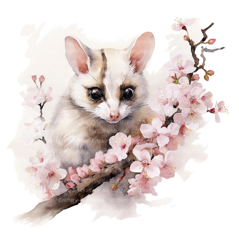 Sugar Glider Clipart Printable Watercolor Clipart 10 High - Etsy