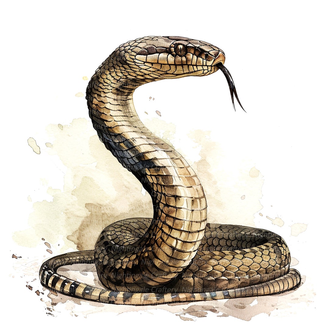 11 Watercolor Snake Clipart, Sublimation Snake, Printable Watercolor ...