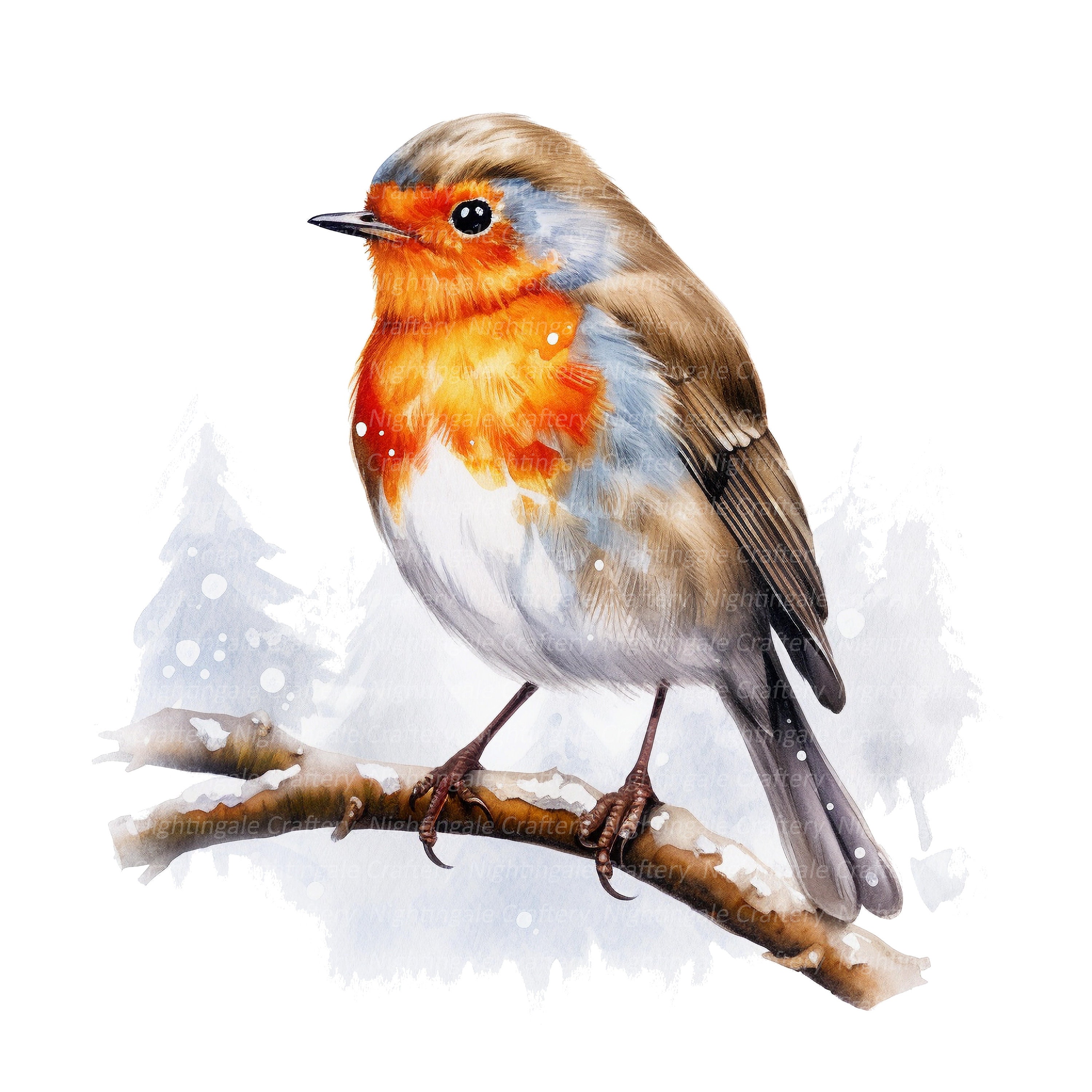 10 Christmas Robin Clipart, Printable Watercolor Clipart, High Quality ...