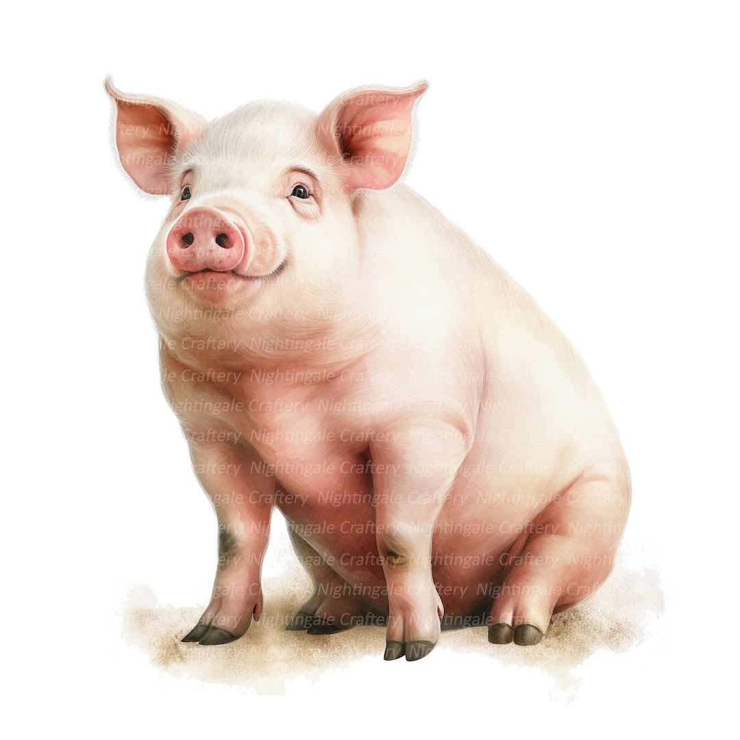 12 Farmyard Pig Clipart, Printable Watercolor Clipart, High Quality PNG ...