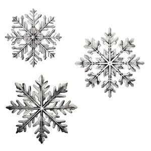 14 Black White Snowflakes Clipart, Christmas Print, Printable ...